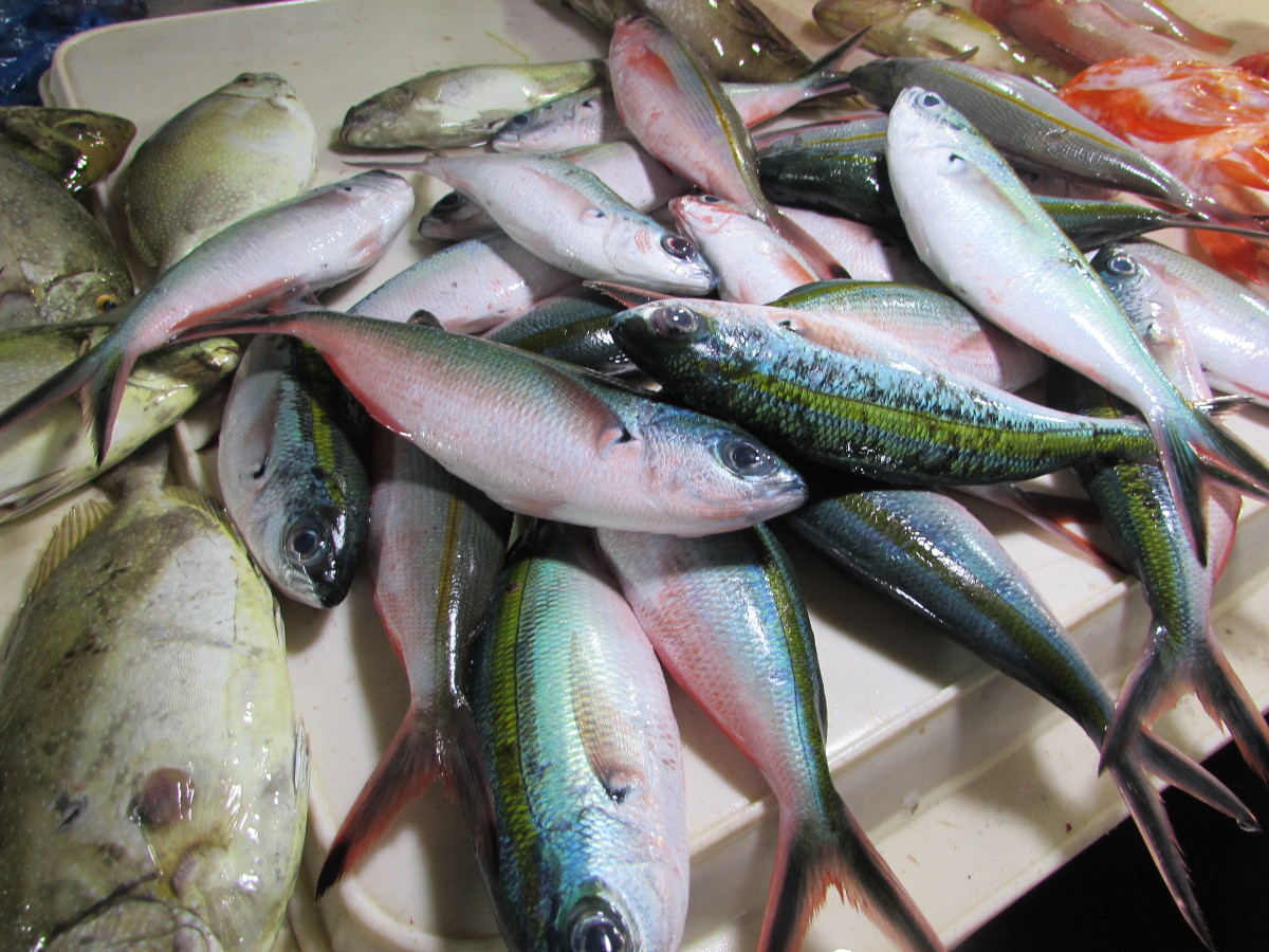 Sorry,all the clever names are taken.: Fish in the Sibulan Market