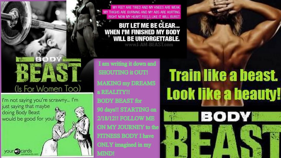 A Fit Nurse: Body Beast Program: Achieve that FIT Physique
