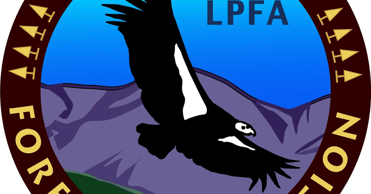 Lost In The Los Padres: Potrero John Trail maintenance With The LPFA