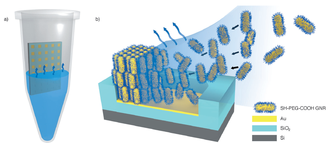 SOL-GEL, NANOSCIENCE AND PHOTONICS: SELF-ASSEMBLY OF VERTICALLY ALIGNED ...