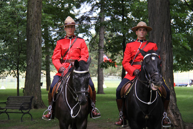 Love at First Layover: Memos to my Office