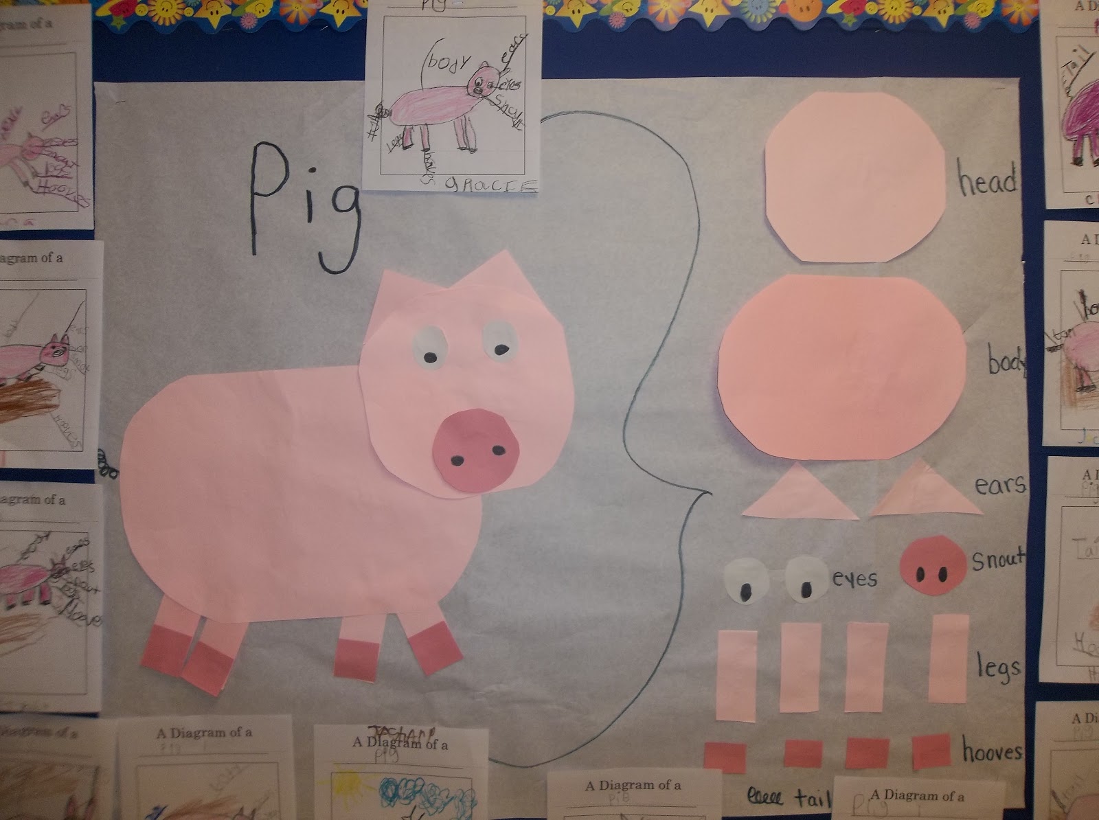 Mrs. Wood's Kindergarten Class: Animal Body Parts