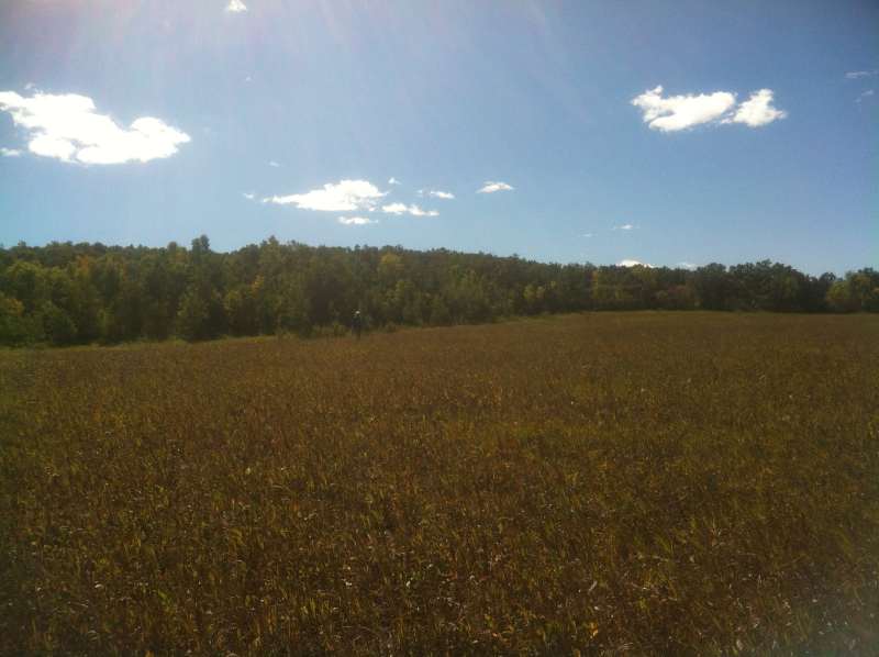 Take a Hike: Pembina Valley Provincial Park