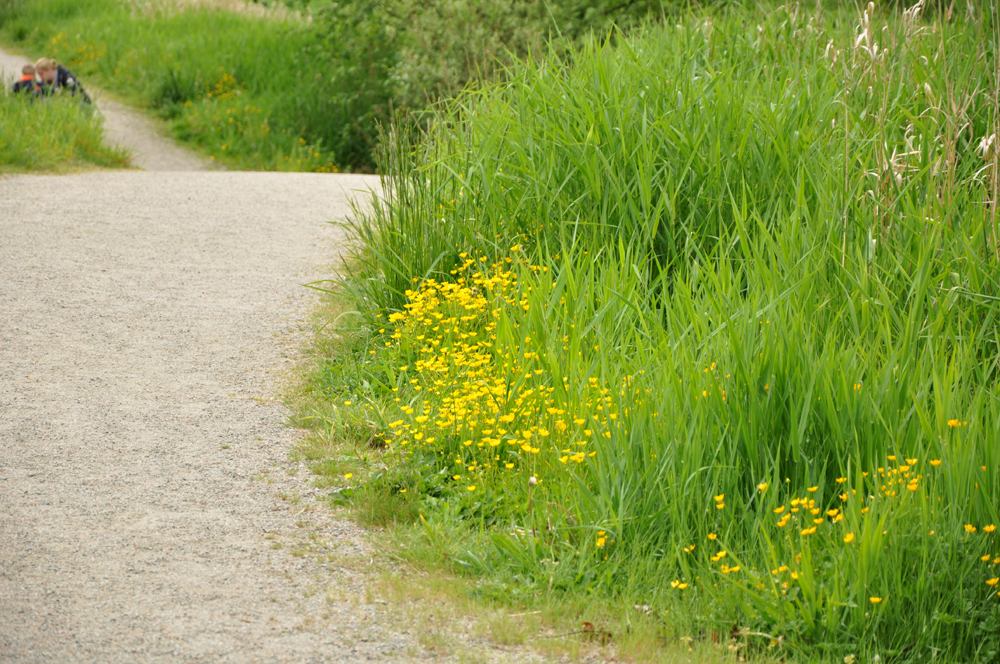 21 freckles: Surrey Lake Park