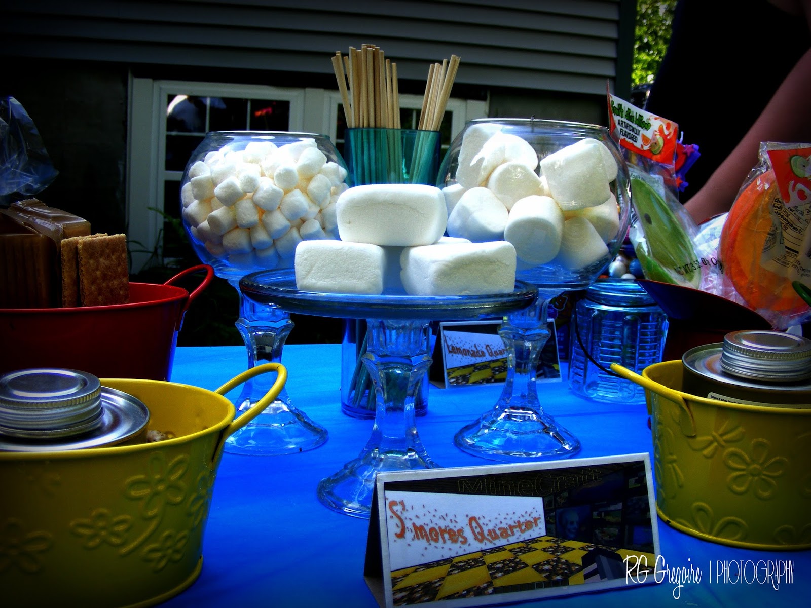 RuthinianGregoire: June Birthday Party 2