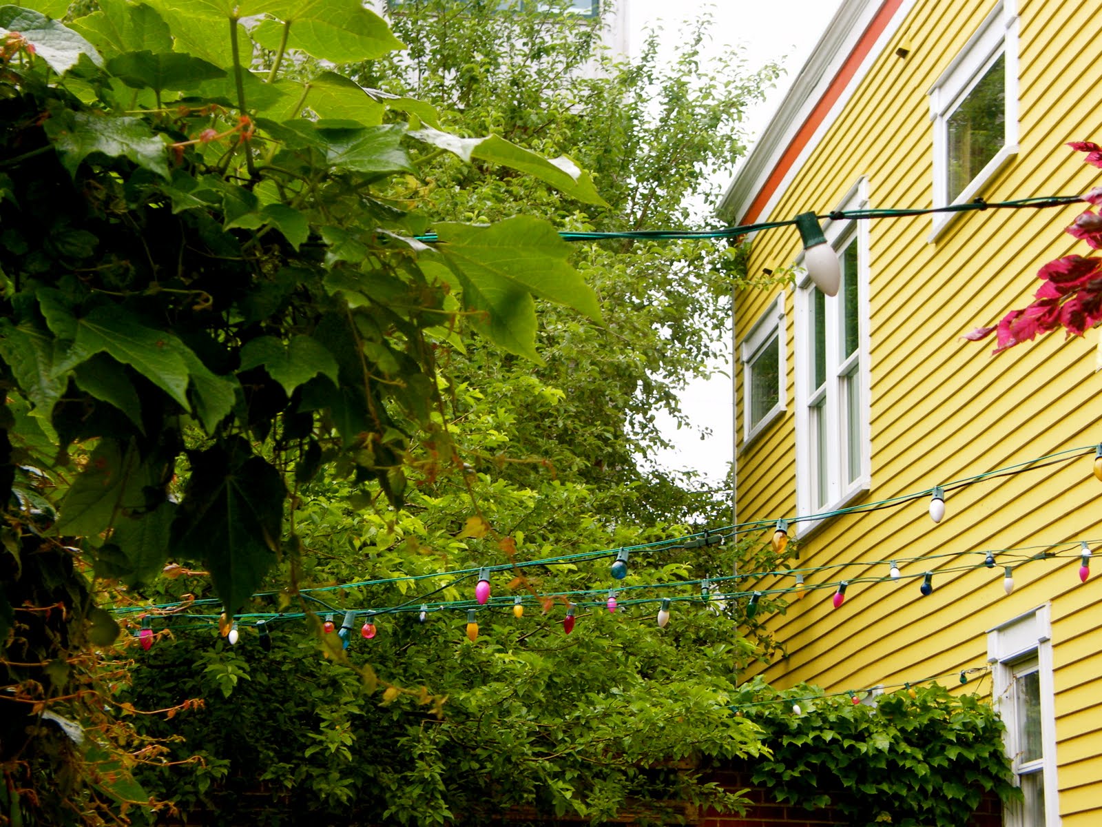P O T A G E R: Yellow House and Strands of Lights