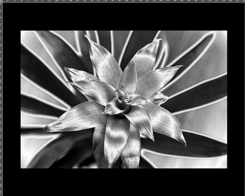 Experimental Techniques in Photography: Digital Solarisation