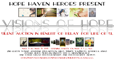Hope Haven Heroes Presents Visions of Hope: Silent Auction Benefit for ...