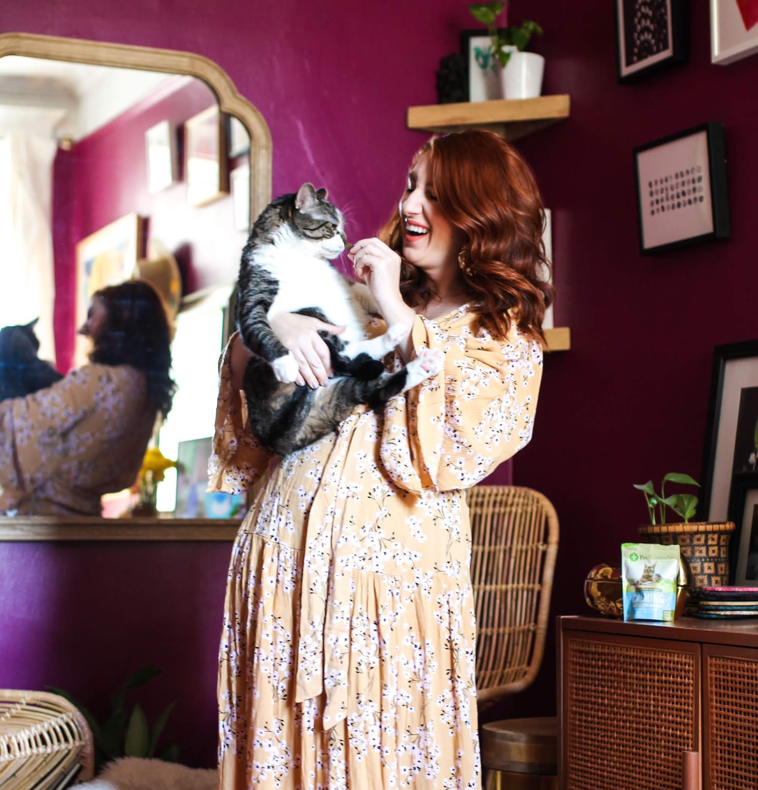 Yep, I'm a Cat Lady and I'm sharing My Secret Weapon to Keeping the ...