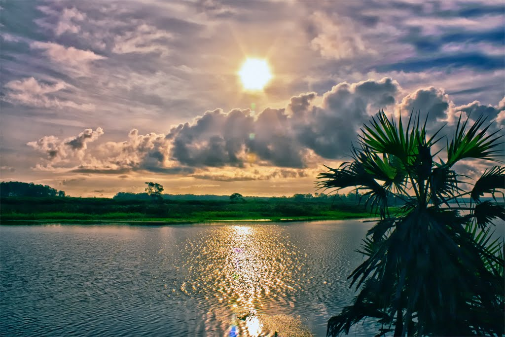tropicalia: " 1ª viagem de exploração marítima da guarnição de Diogo Cão"