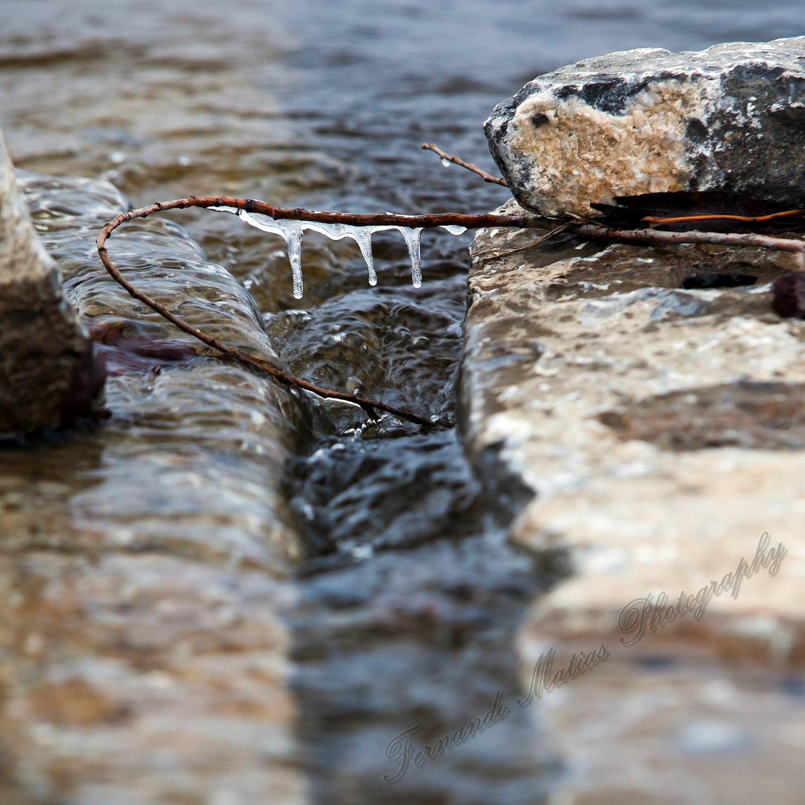 Fernando Matias Photography - Ottawa Ontario - Ottawa Wedding ...