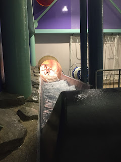 Welcome to Team Kereru: Year 5 day out Splash Palace