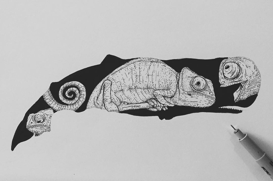 Design Stack: A Blog about Art, Design and Architecture: Wildlife Double Exposure Drawings