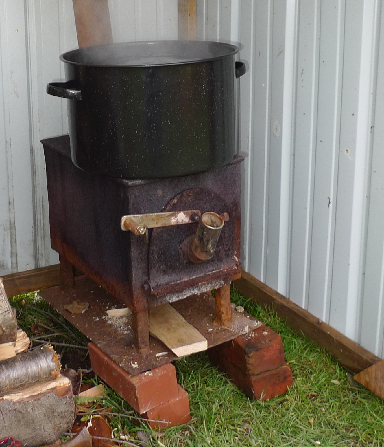 Wild Harvests: Bigleaf Maple Syrup
