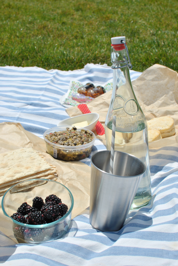 Quiet Like Horses: Spring Picnic + Easy Biscuit Recipe