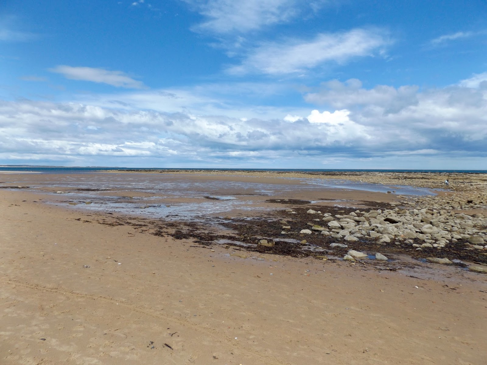 Intertwining Branches: Cresswell Village