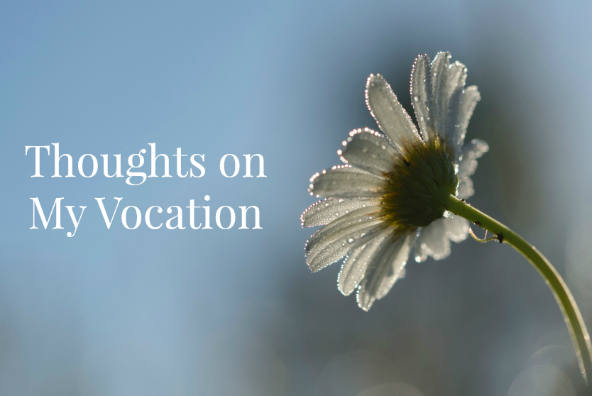 Vocation Quotes