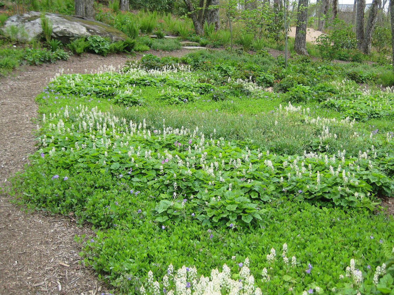 Using Georgia Native Plants: October 2015