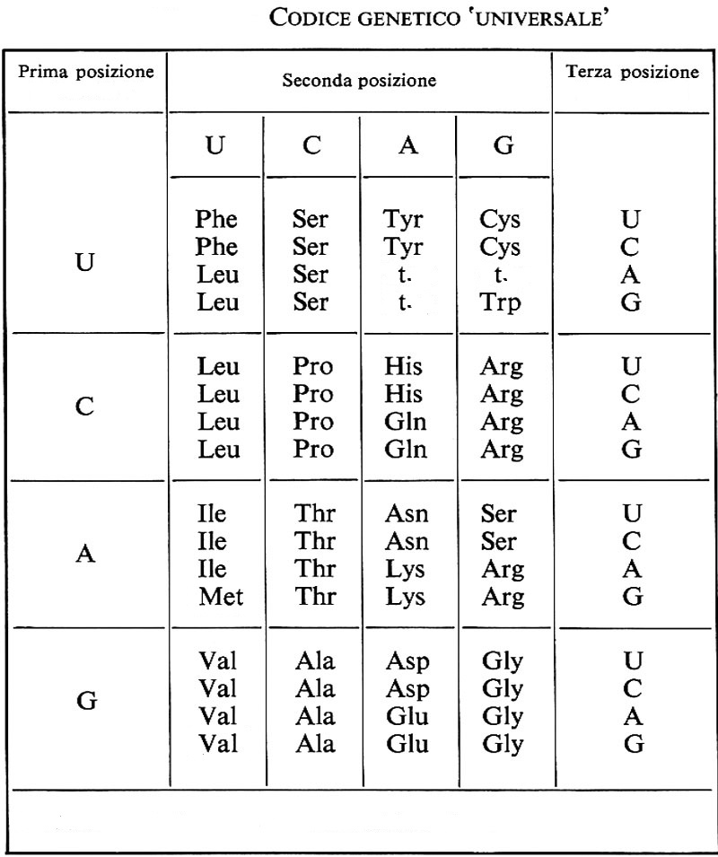 ORIGINE DELLA VITA E CHIMICA PREBIOTICA-ORIGIN OF LIFE AND PREBIOTIC ...