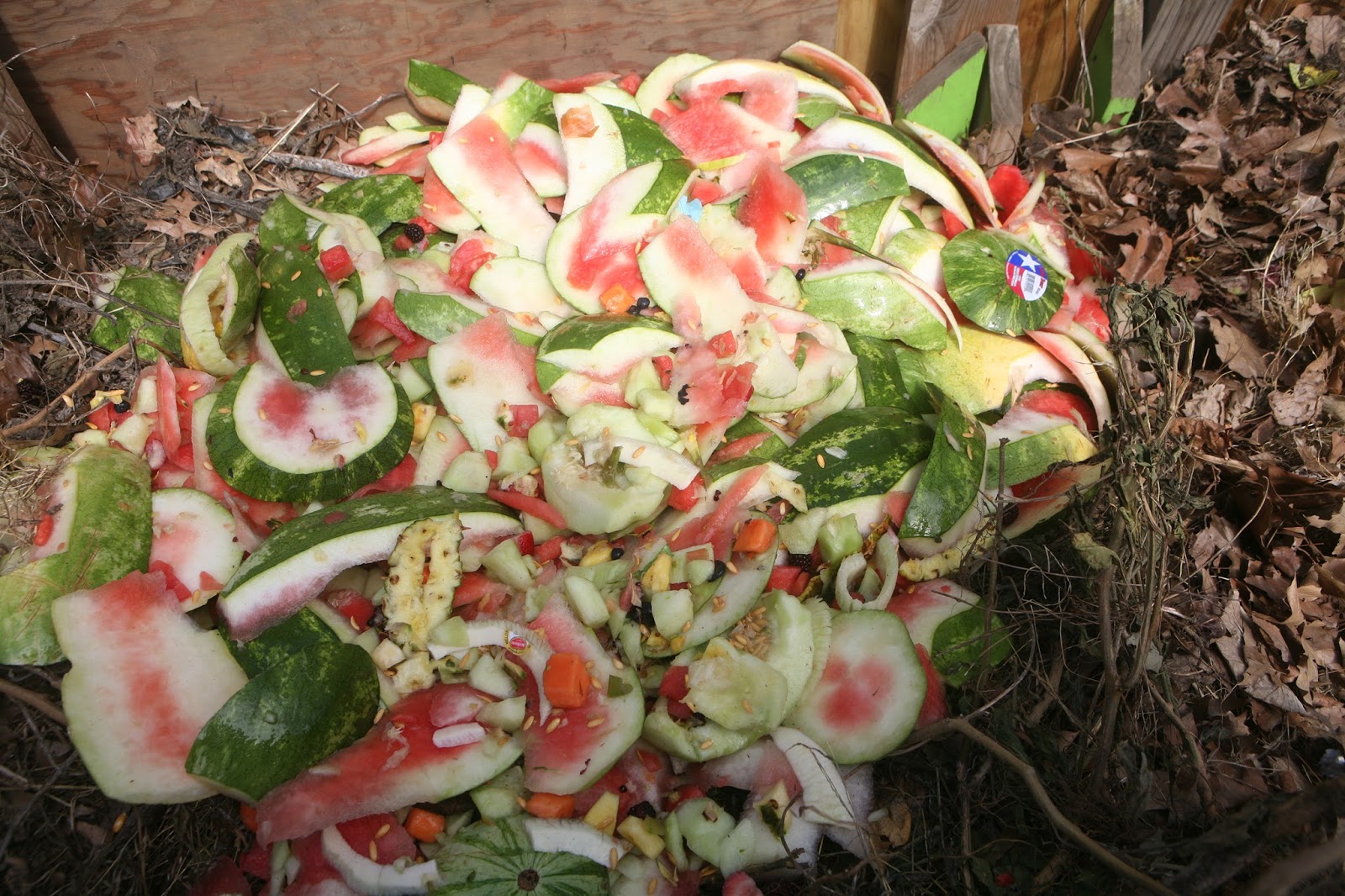 Gardening with Bronx Green-Up: Making Compost through Collaboration