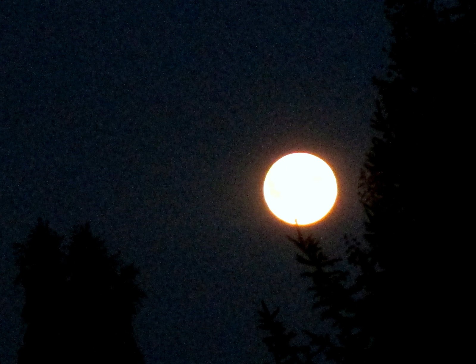 Eilės: Mėnulio pilnatis