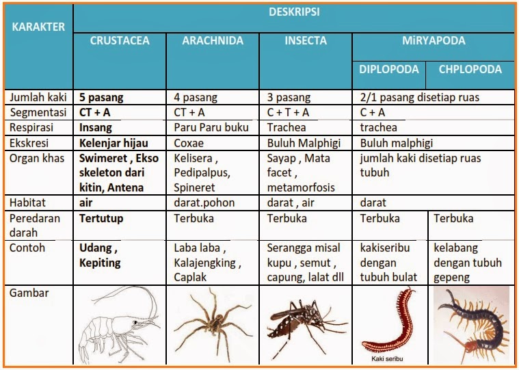 PEDOMAN MATERI BIOLOGI SISWA SMP DALAM UJIAN NASIONAL - Biology Page