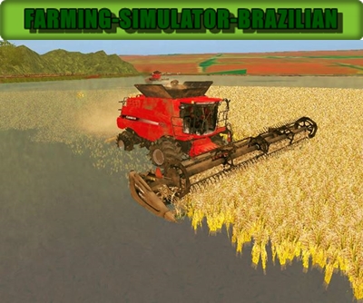 MUDDY MAP BRASILEIRO FS17