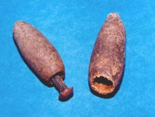 Prof. Émer Nogueira: REPÚBLICA FEDERATIVA DO BRASIL (Federative ...