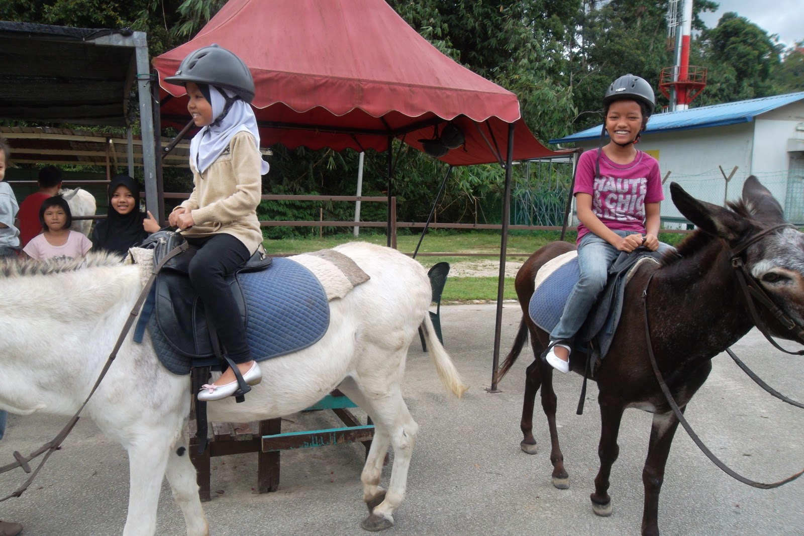Mummy ADH: Rabbit farm @ Colmar Tropicale,Bukit Tinggi.
