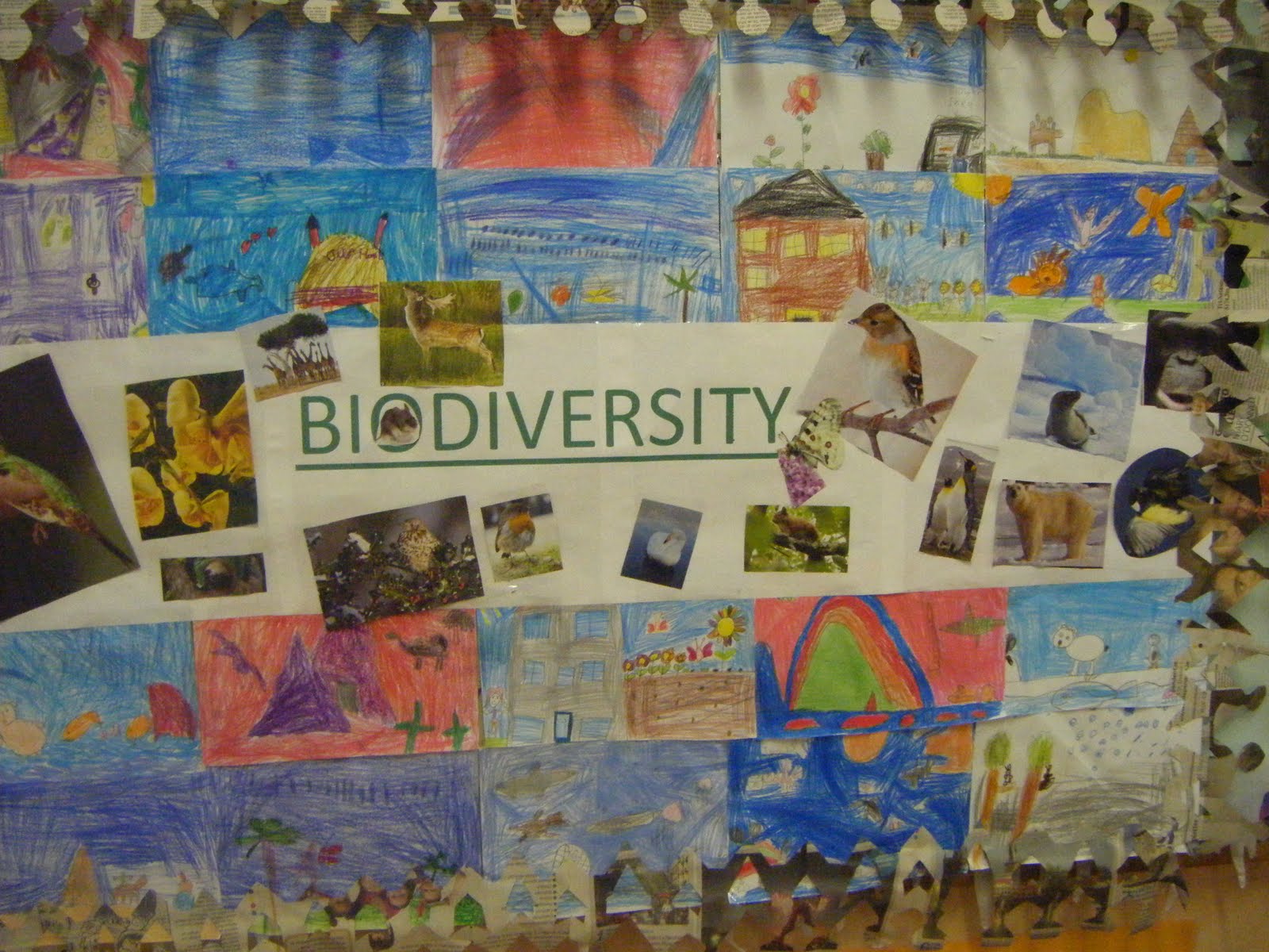 Green School Project: Biodiversity Poster Competition