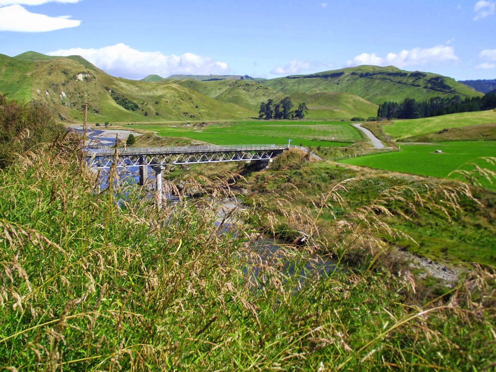 The Adventure Machine