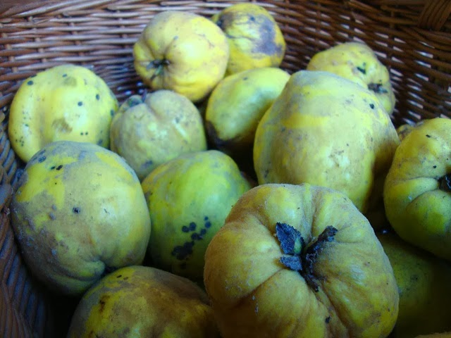 Maje Zmaje: U KUHINJI: Sir od dunja