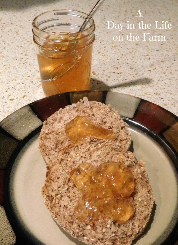 A Day in the Life on the Farm: Lemon Shred inspired by The Practice ...