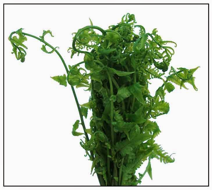 LIFE IS A BANQUET: PAKPAKO SALAD