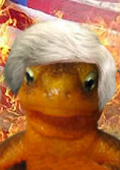 Bildungblog: 1/1/12 - 1/8/12