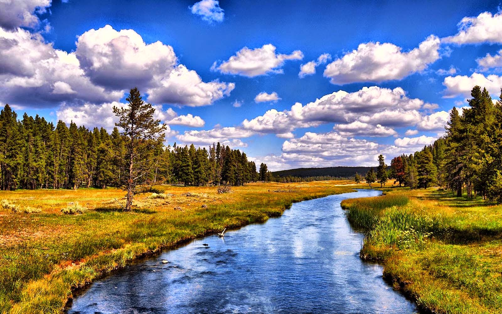 wide desktop backgrounds - wallpapers