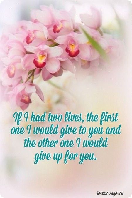 65 Romantic and Powerful Facebook Love Statuses for Girlfriend