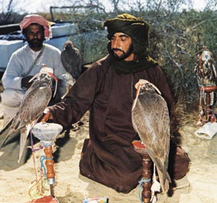 Turkey behaves like vulture in somalia (fok Donor kebab) - Page 2 ...