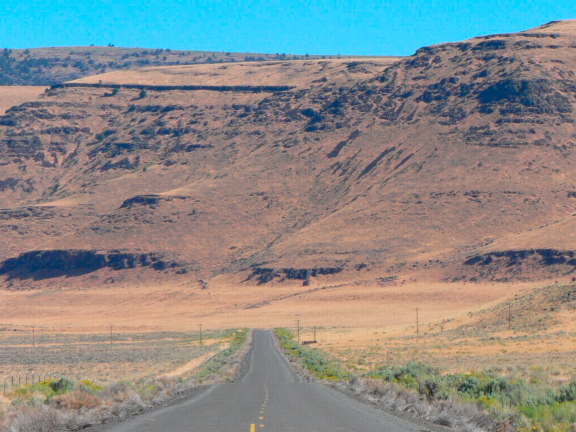 CultureWatch Northwest: People & Plants: Study of Ancient Oregon Rock ...