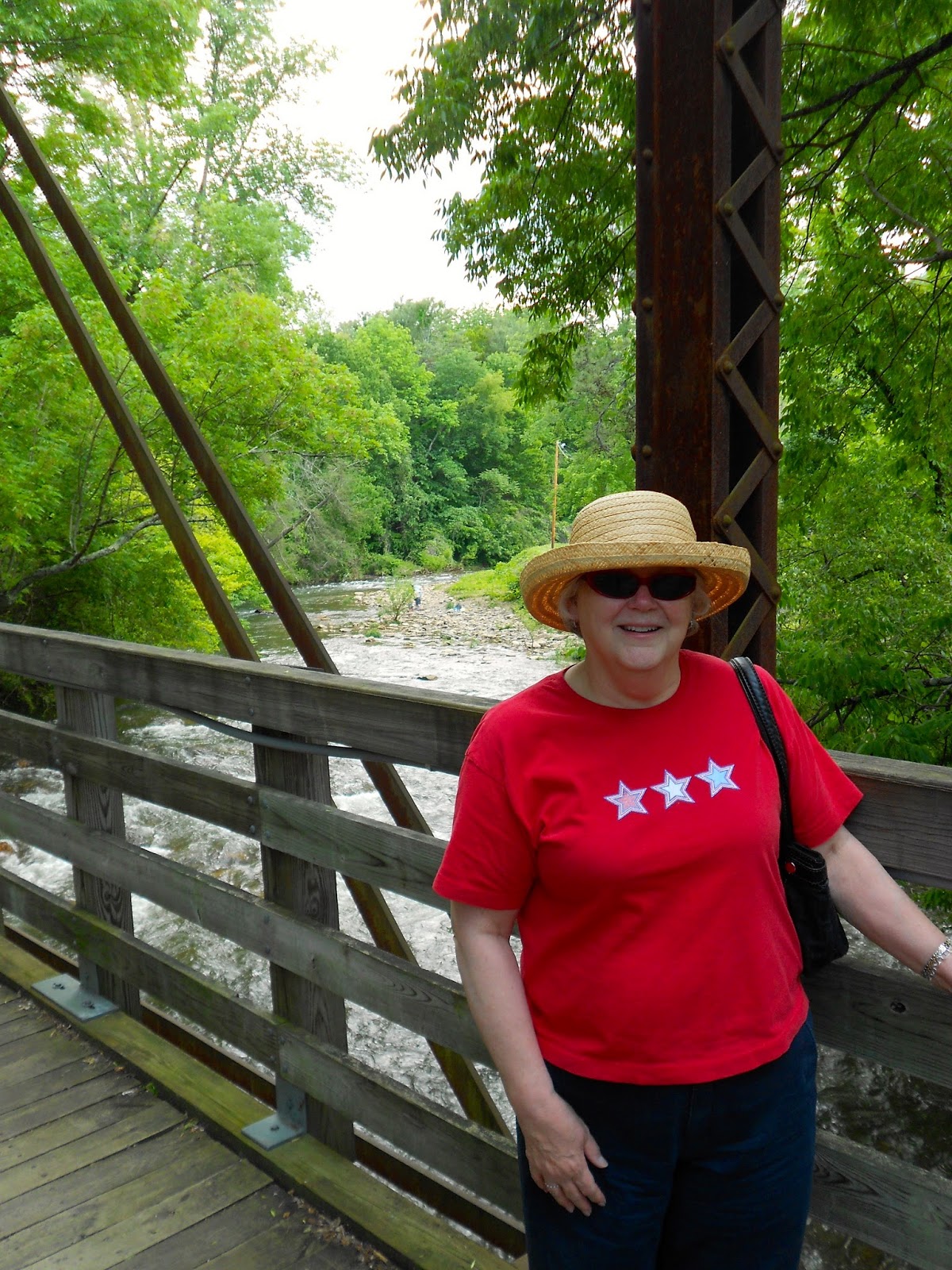 Hank's AT Adventures: Side Trail: Lazy Fox Inn, Damascus, VA