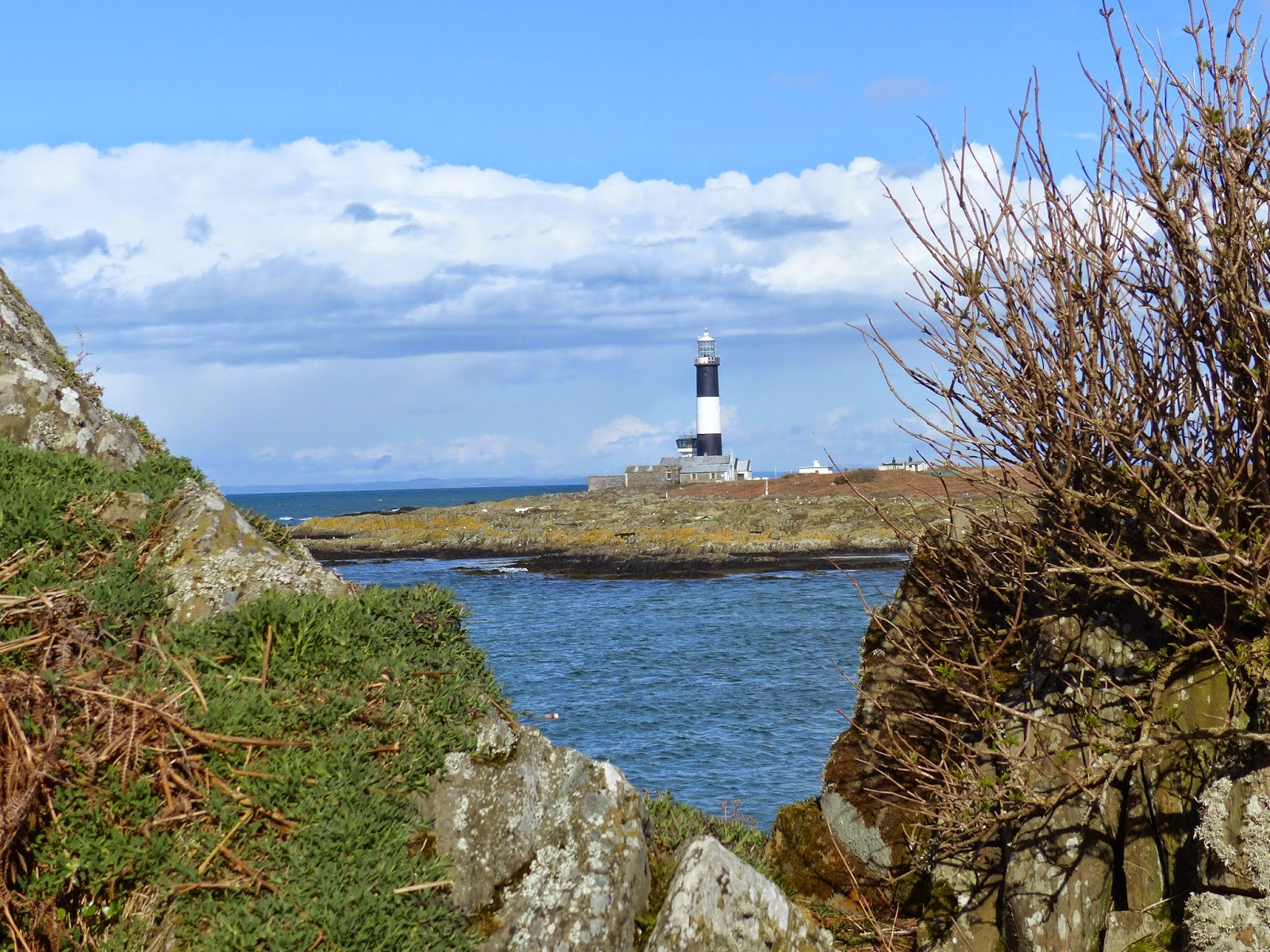 Birding For Pleasure: Copeland Island Visited (Part 2)