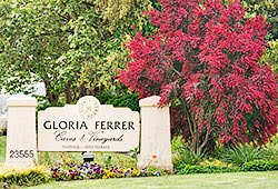 What's Cookin' Today on CRN: 7/22 TeleNav Travel App, The Celebrity ...