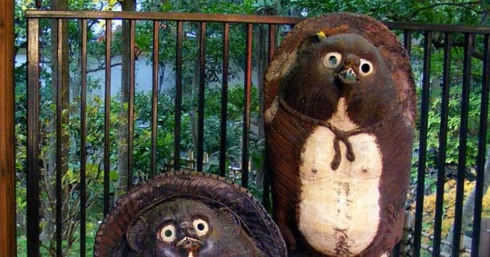 It's Adventure Time: tanukis and other things we liked in tokyo