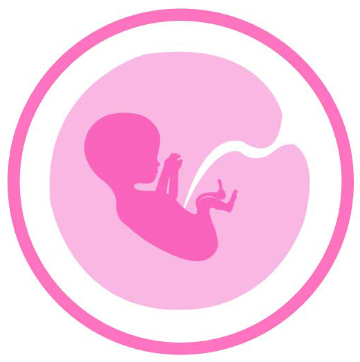 CONTROL PRENATAL | Mi Ginecóloga en Linea