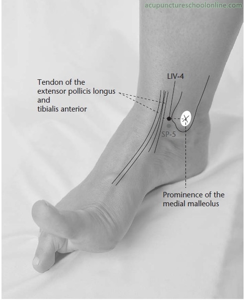 Jarum Sakti: Meridian Jue Yin Kaki/Liver