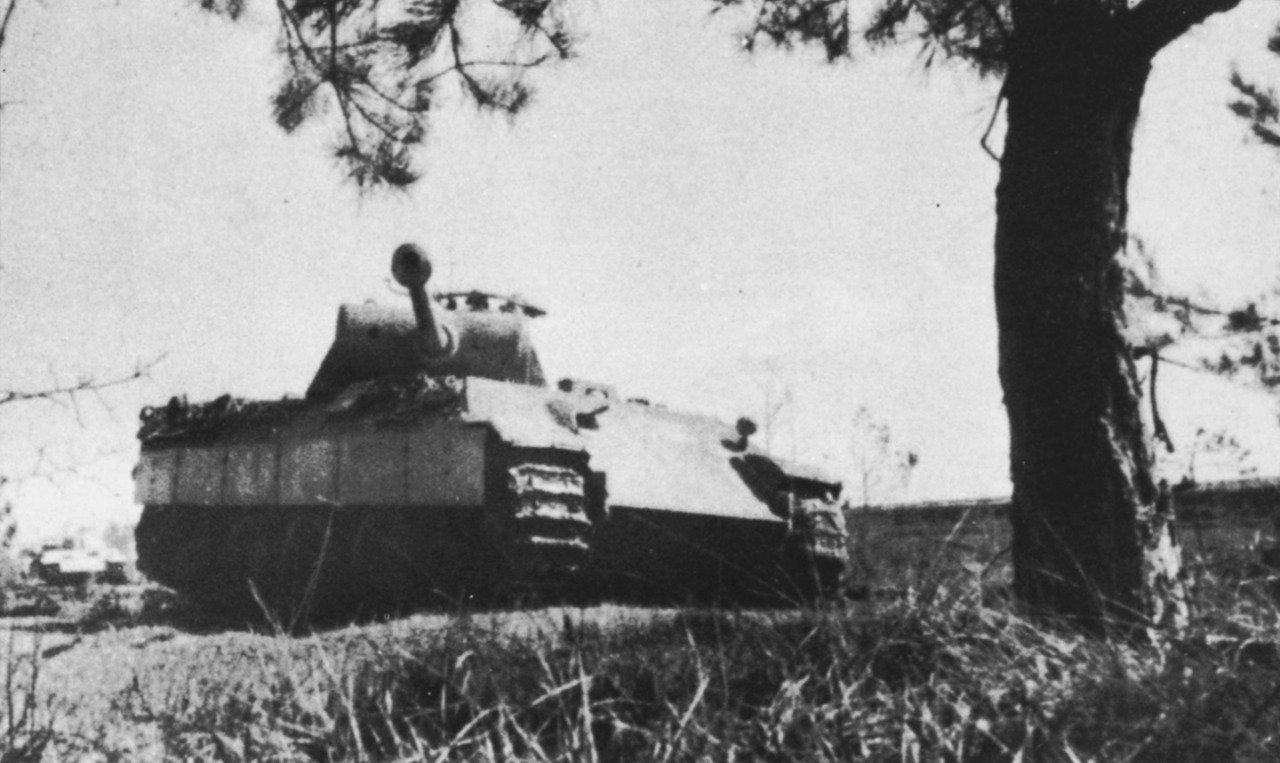 Panzermänner: Panther of Wiking Division in Poland 1944