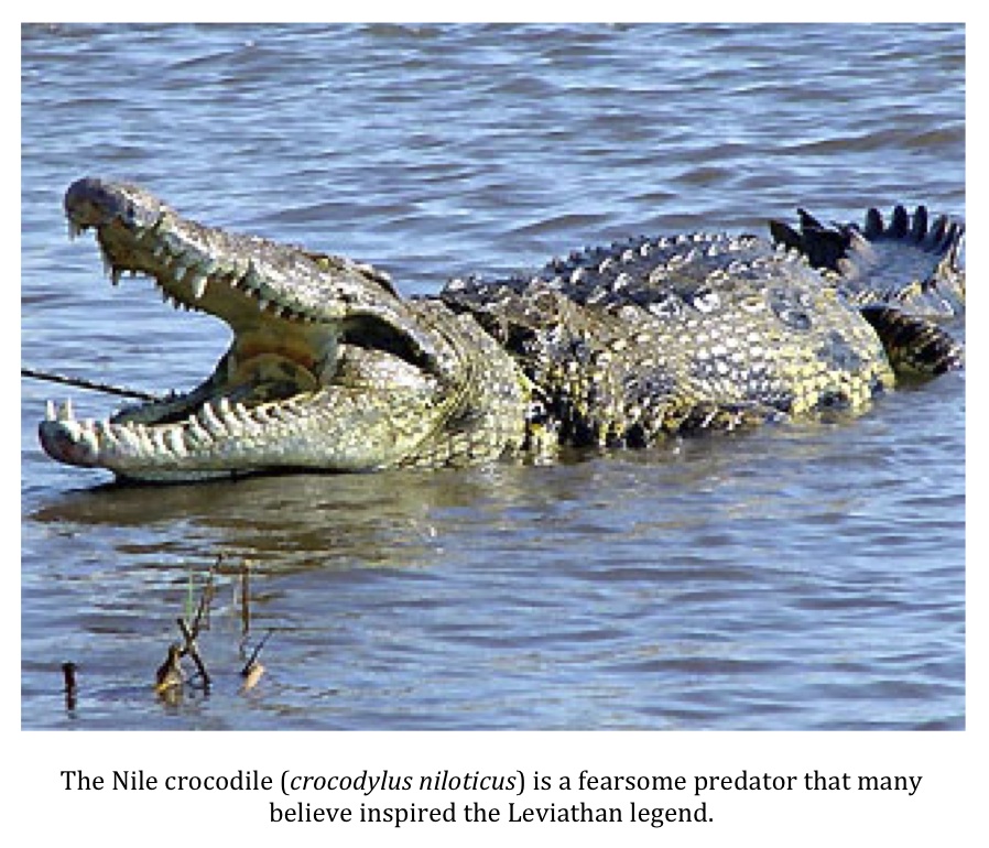 Texas Cryptid Hunter: Cryptids in the Bible Series: Leviathan