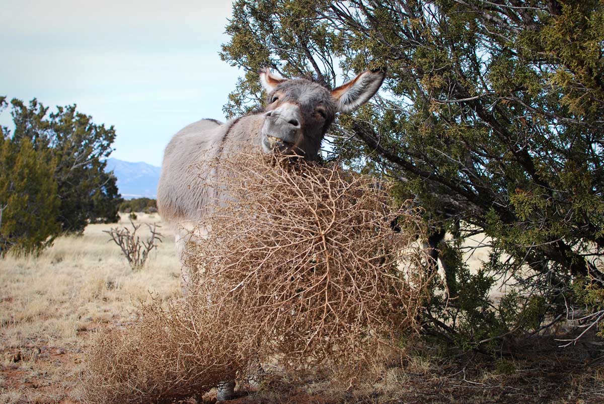 The 7MSN Ranch: Score a point for George