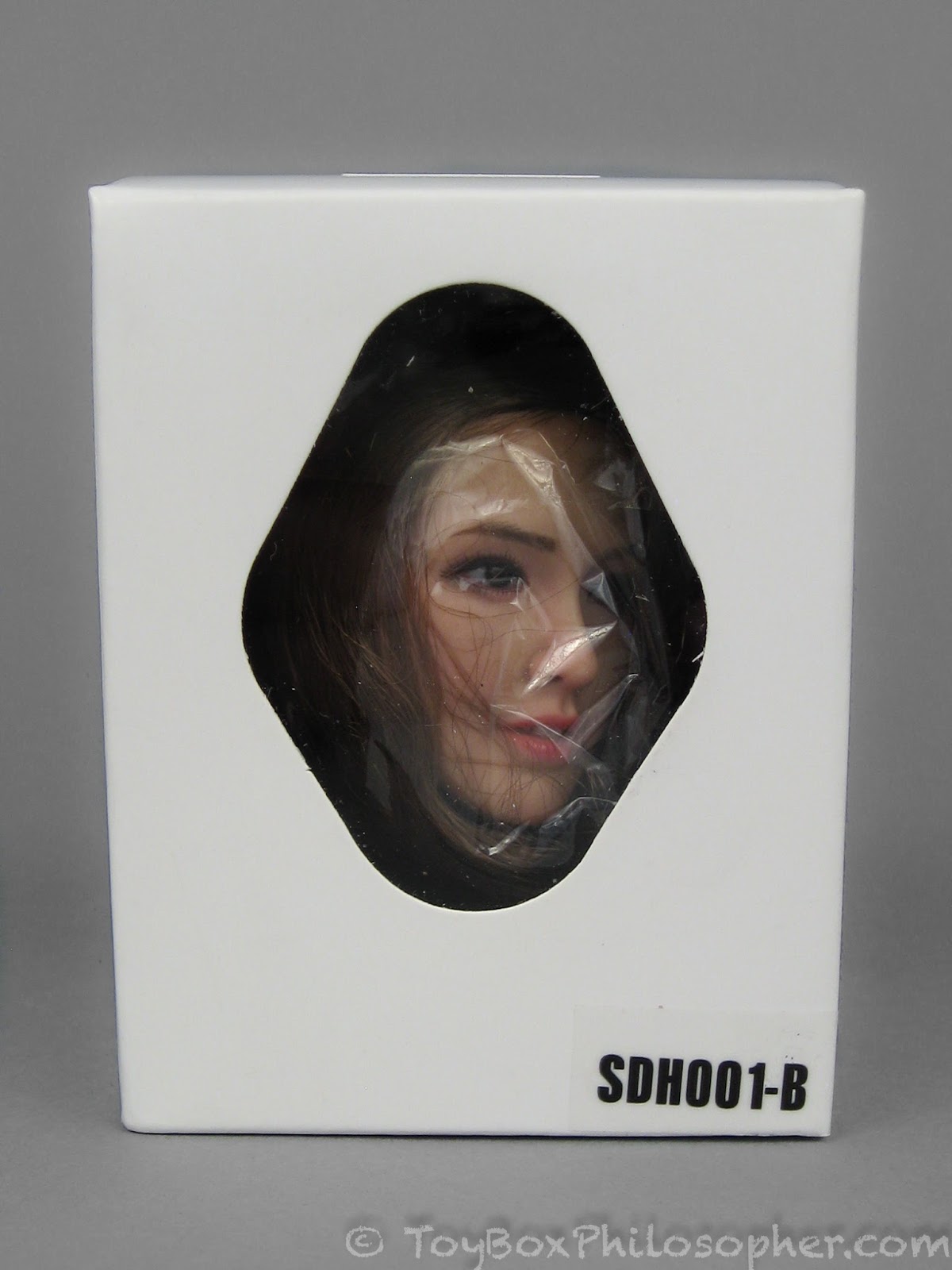 Figuring Out Phicen (Part 1): Finding a Head for a Phicen S01A Pale ...