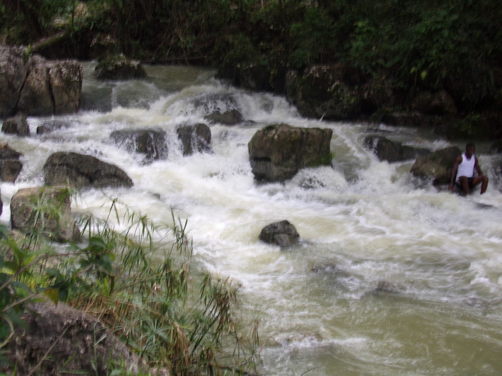 Island Butterfly Travelogue: Off The Beaten Path To Noisy River